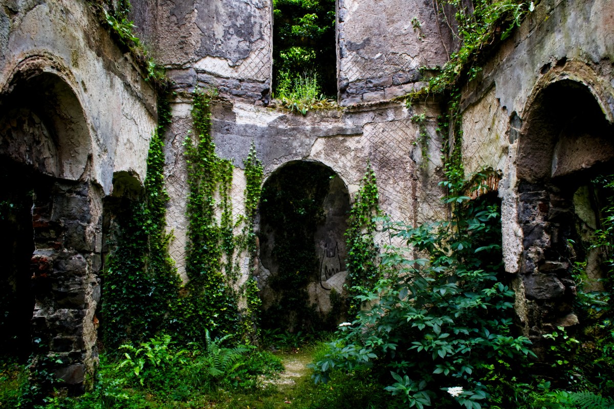 Exploring Moore Hall: A Ruined Irish Landmark – Francis Hanly Photos