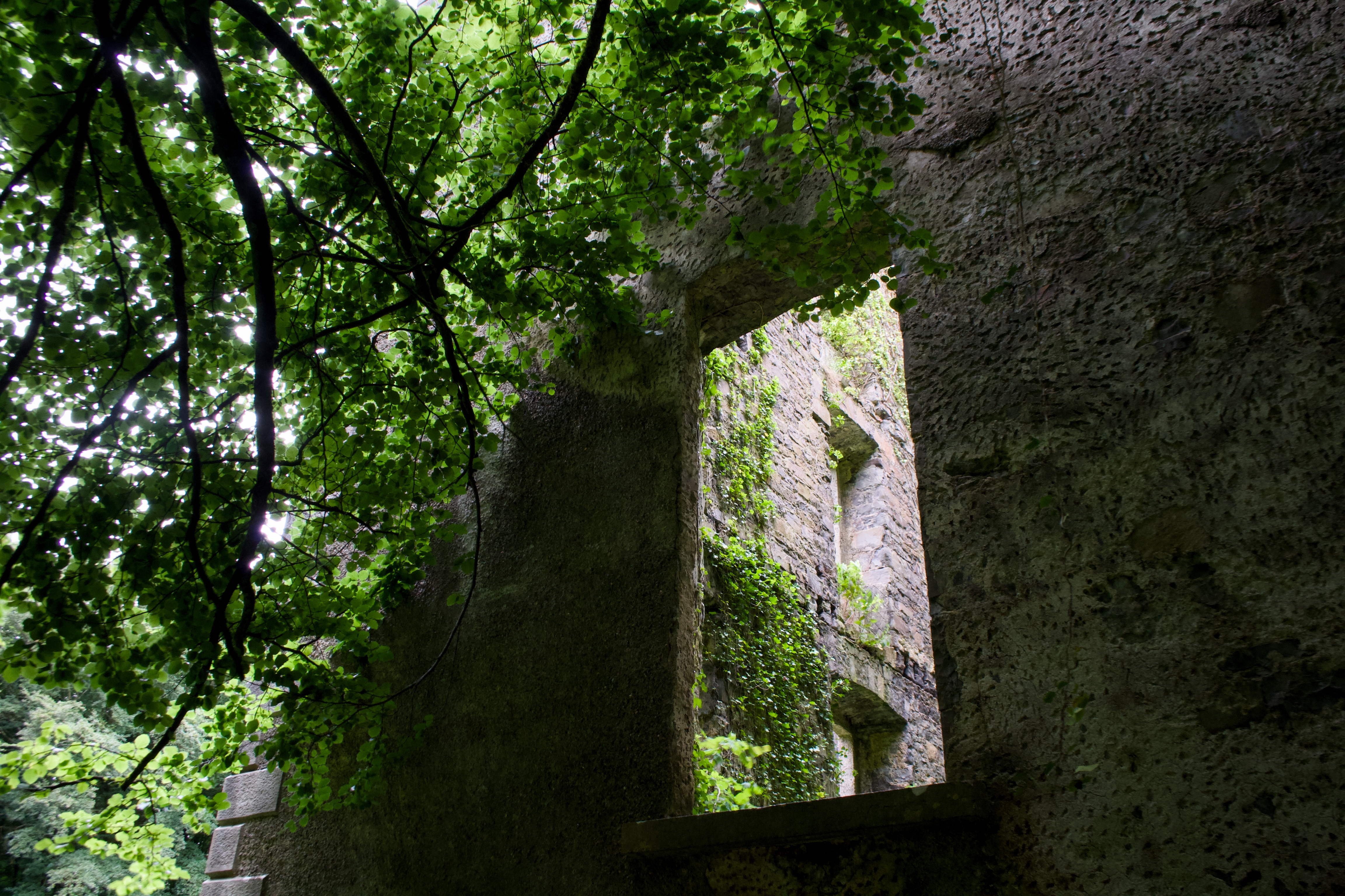 Exploring Moore Hall: A Ruined Irish Landmark – Francis Hanly Photos