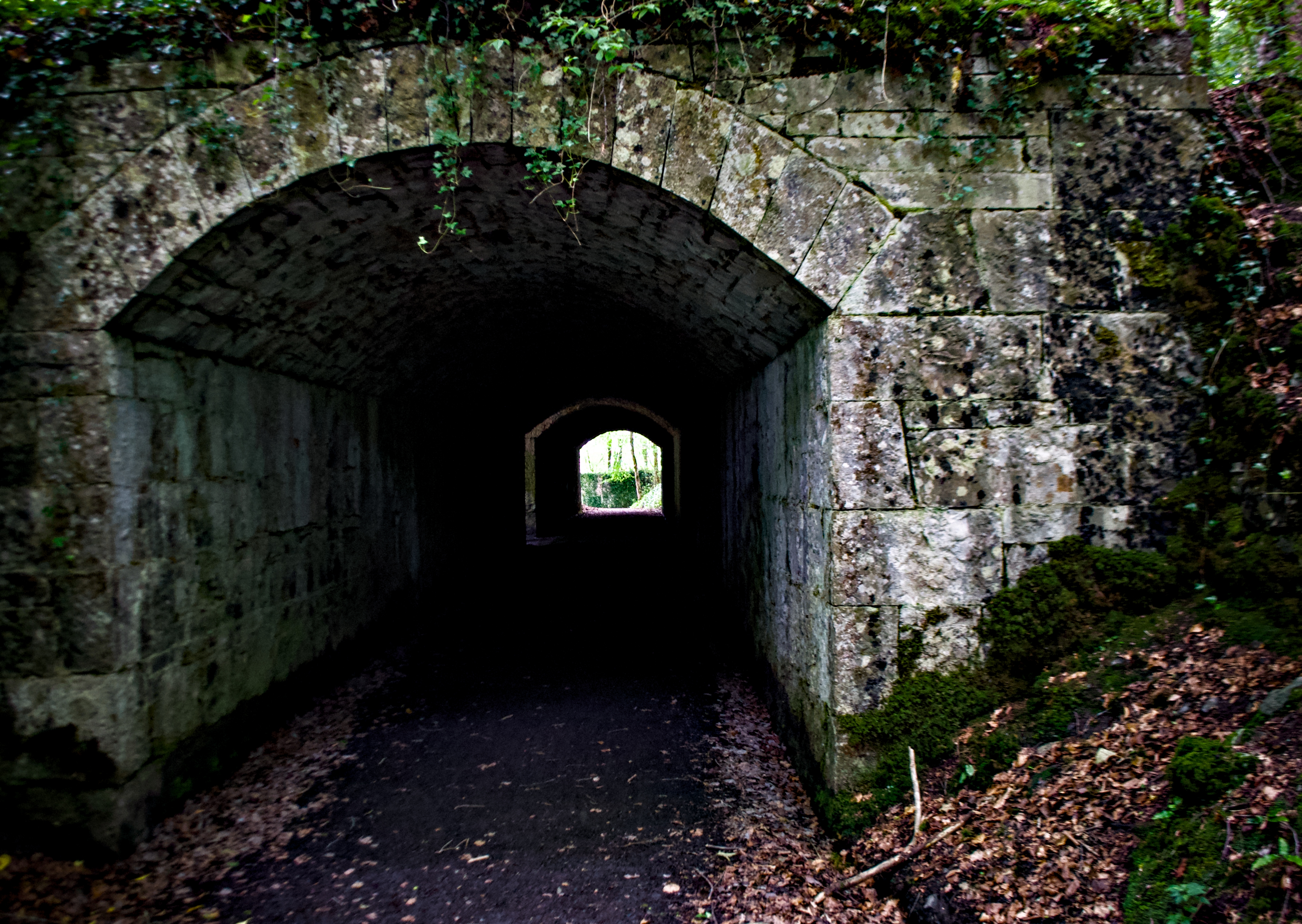 Exploring Moore Hall: A Ruined Irish Landmark – Francis Hanly Photos